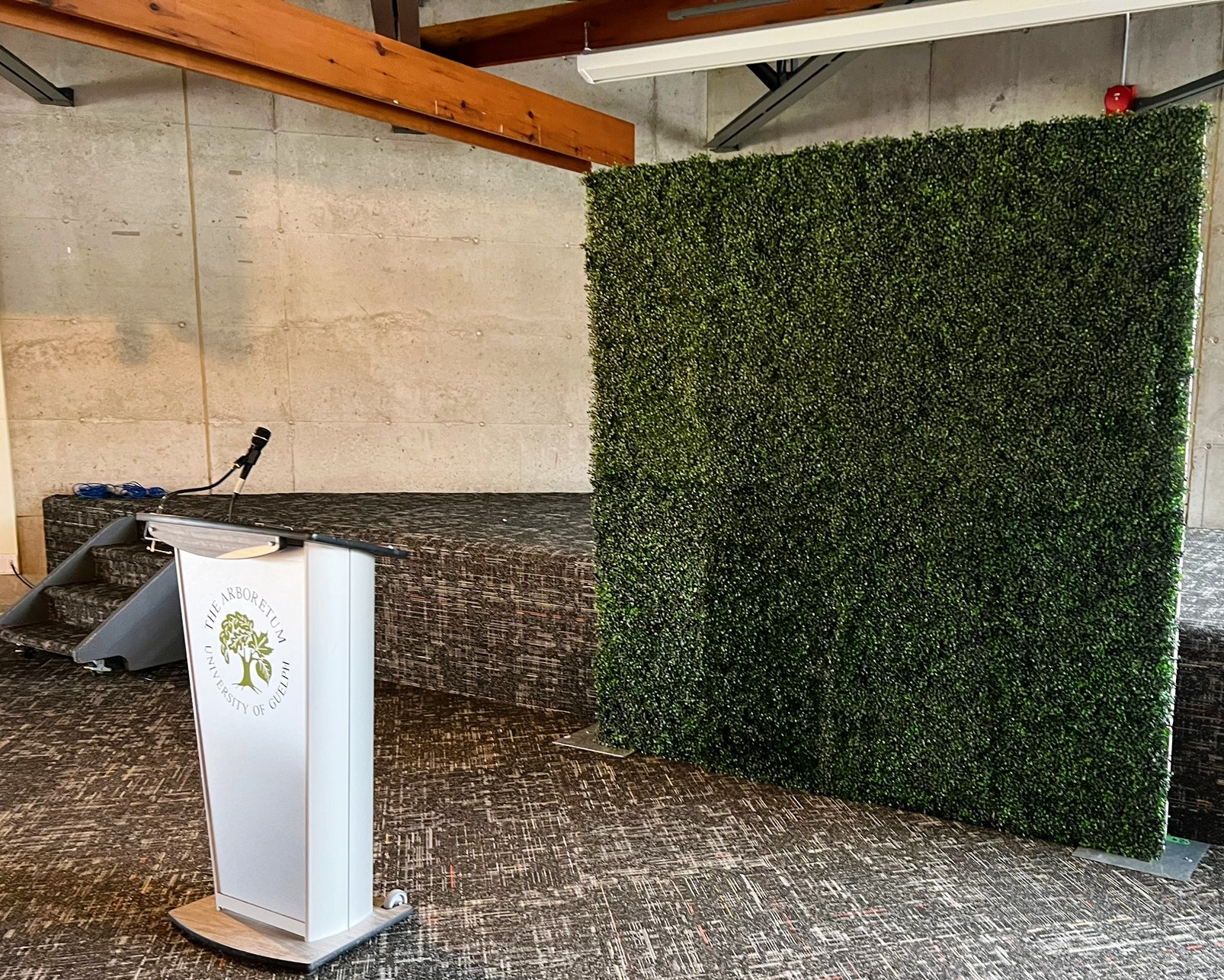 CNE Party Décor Experience with Scarborough Party Rental